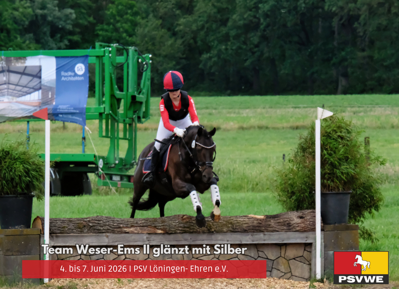 PSVWE - News